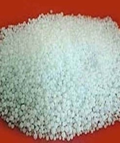 MISCELANEOS archivos - CreaPlantas.cl